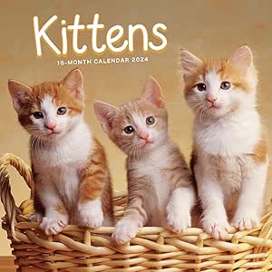 Kittens Mini Calendar 2024 : Amazon.co.uk: Stationery & Office Supplies