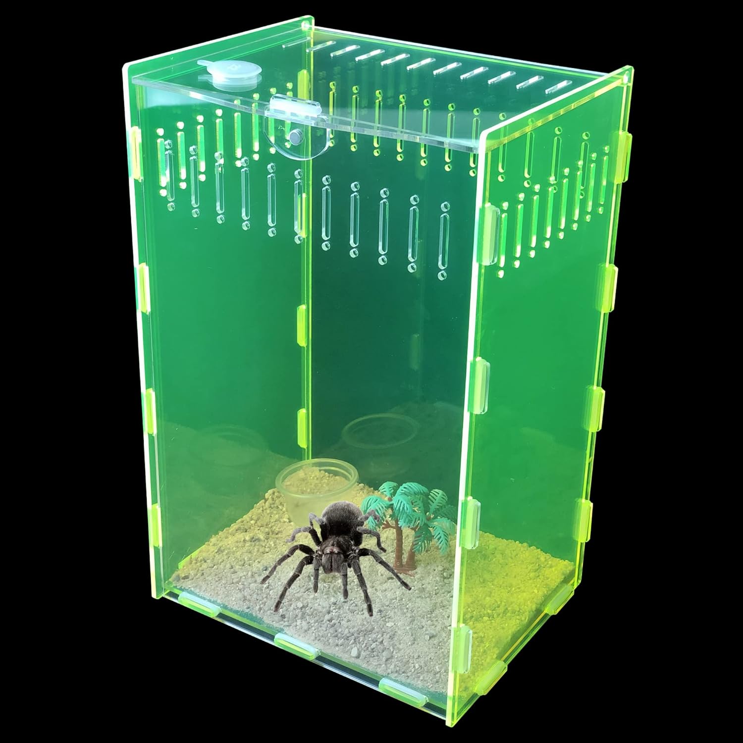 12x8x6 inch Magnetic Acrylic Reptile Case, Vertical Clear Green ...