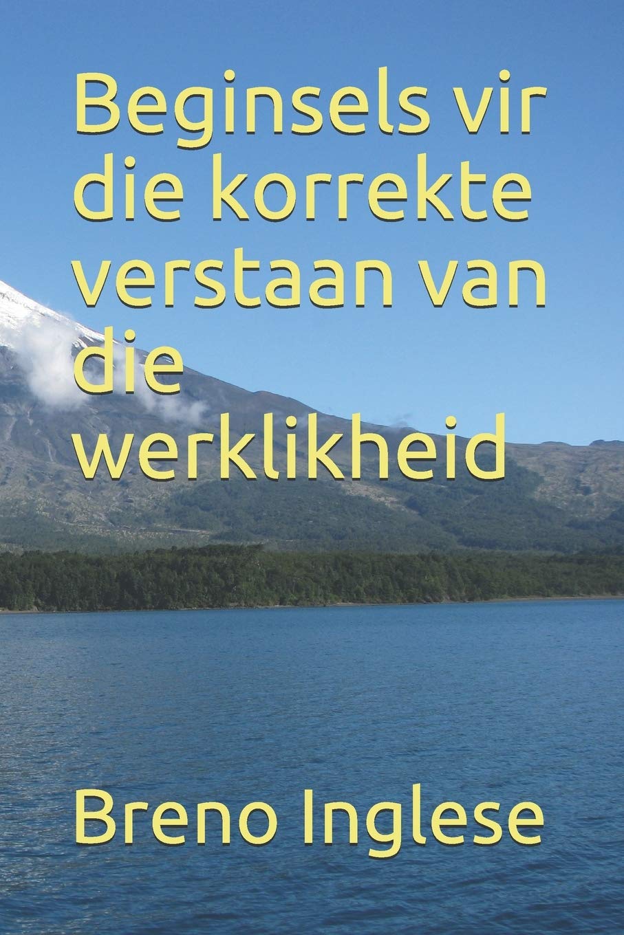 Buy Beginsels vir die korrekte verstaan van die werklikheid Online at ...