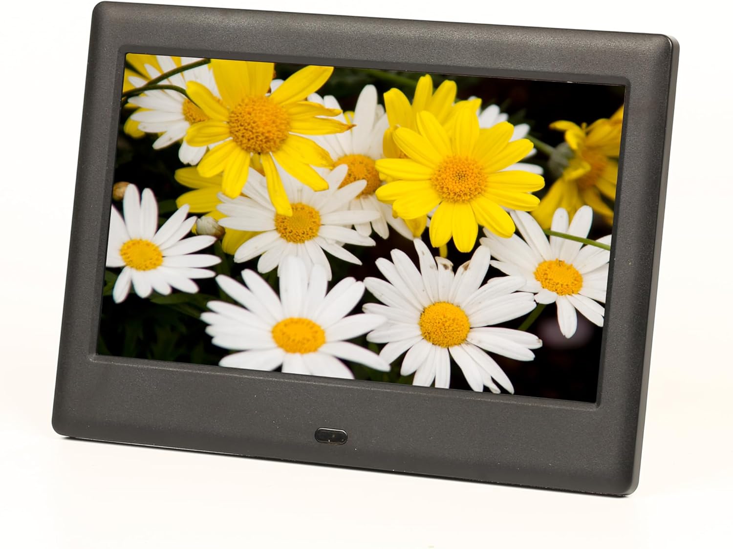 EMtronics 10 Inch Digital Photo Frame with Remote and Adjustable ...