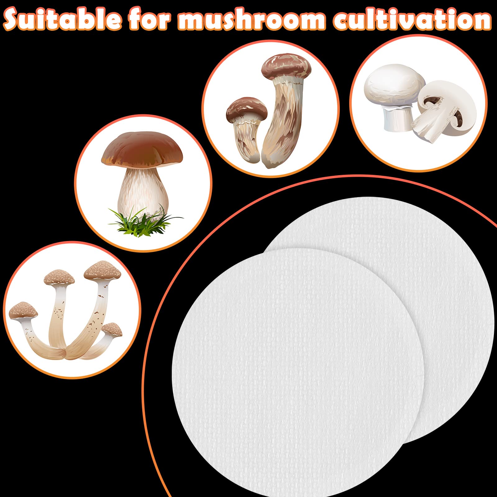 Snapklik.com : 20 Pieces 2.7 Inch Synthetic Filter Paper Stickers 0.3 ...