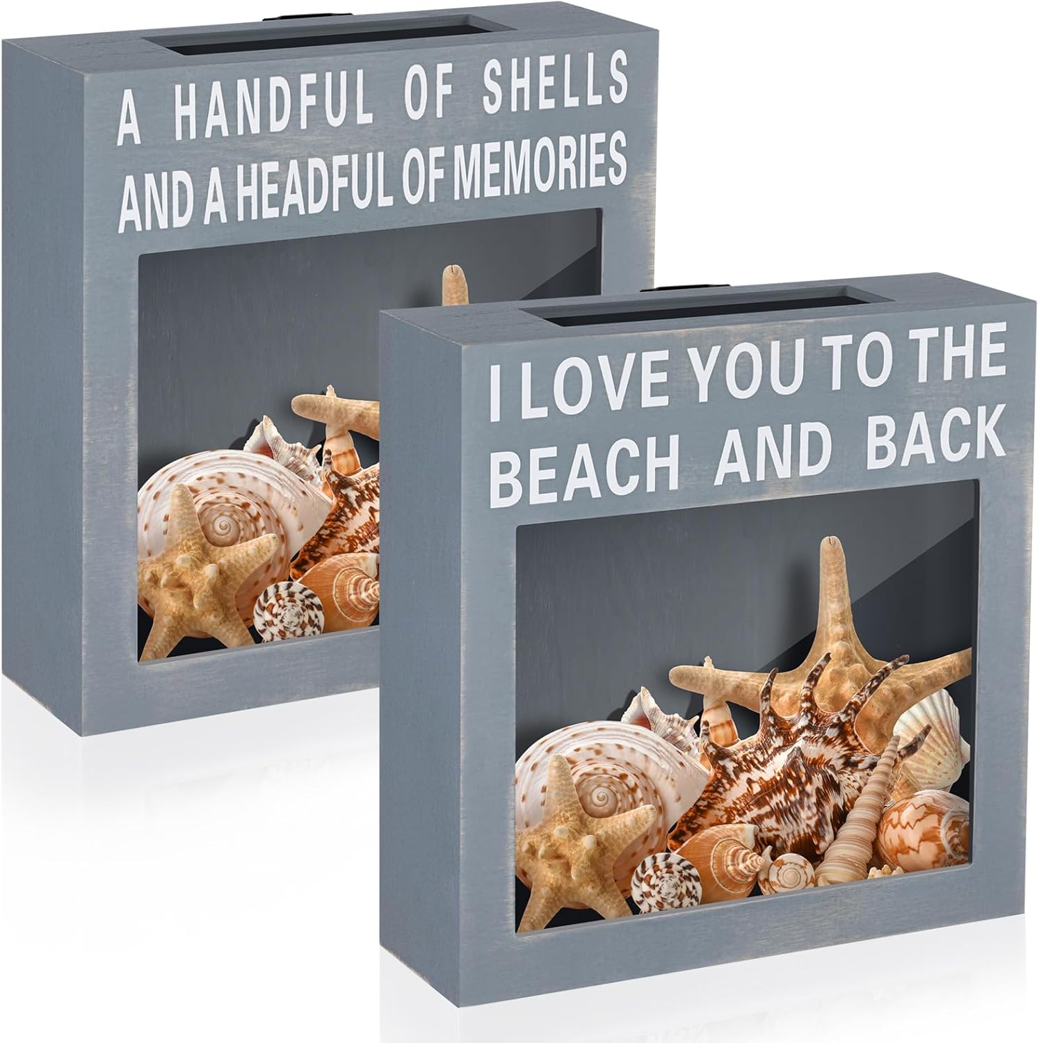 Amazon.com: Juexica 2 Pcs Seashell Holder Seashell Display Box Beach ...