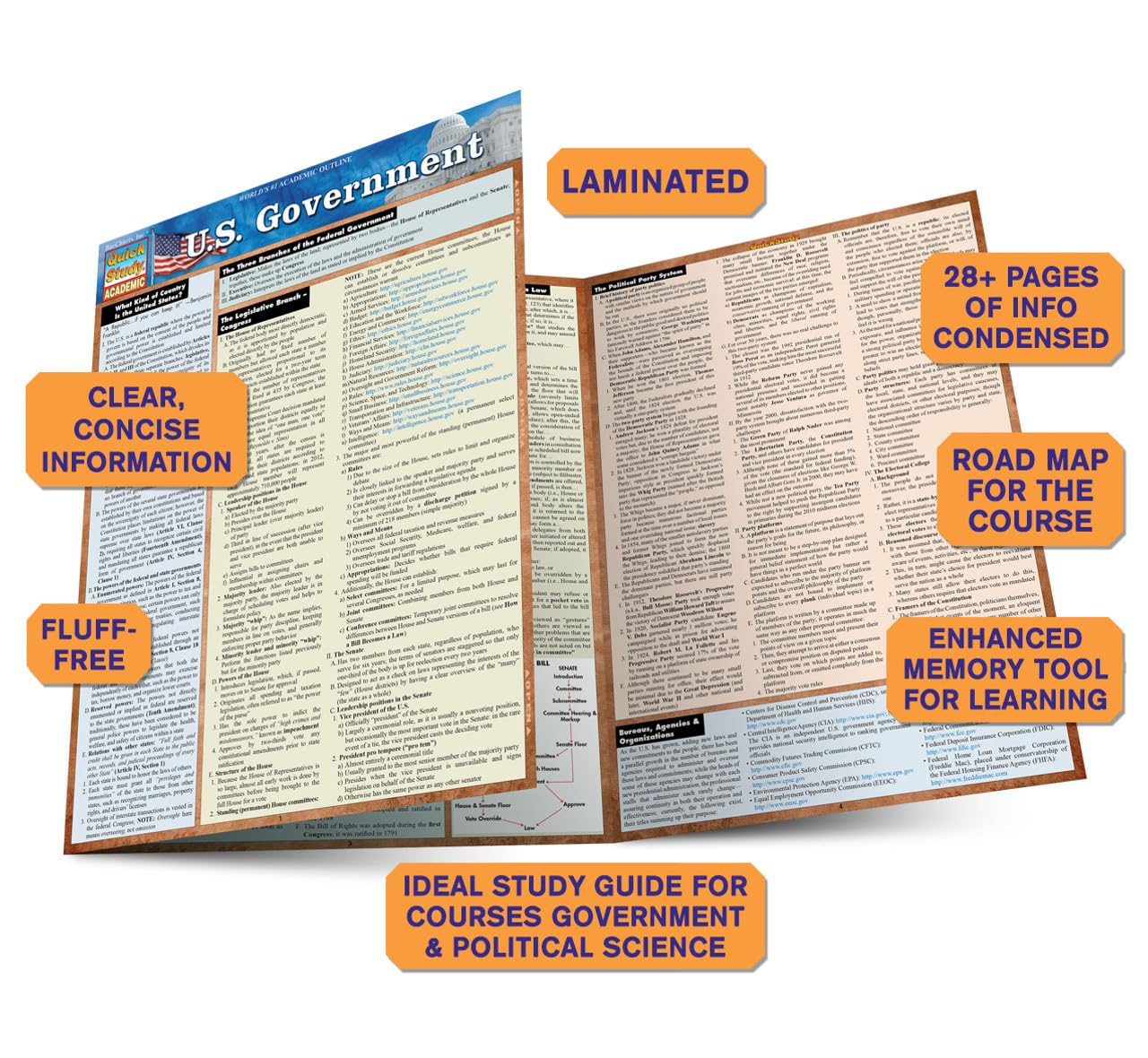 Snapklik.com : U.S. Government QuickStudy Laminated Reference Guide