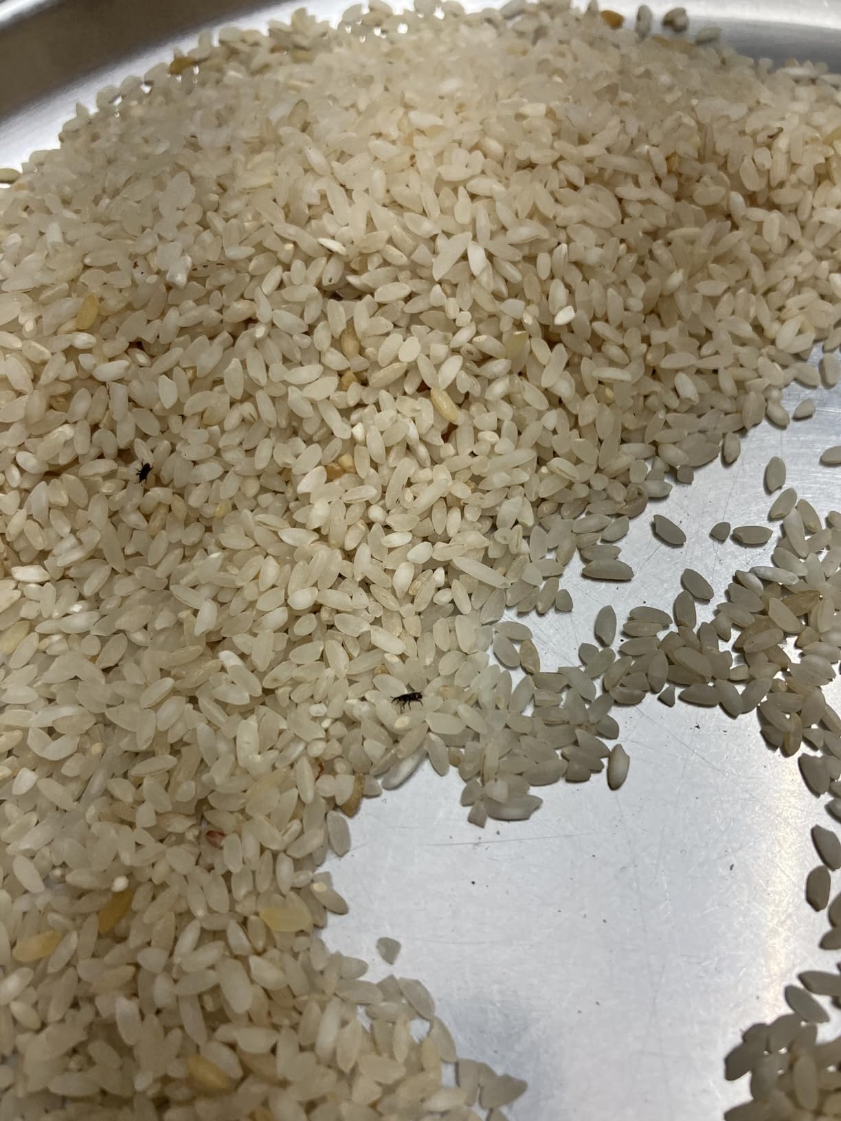 S Siddhagiri's SATVYK THE HEALTH re STORE Organic Ambemohar Rice (1kg ...