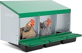 Chicken Nesting Box Dimensions: How Big Should They Be? | CyChicken