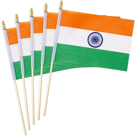 Amazon.com : Anley India Mini Flag 12 Pack - Hand Held Small Miniature ...
