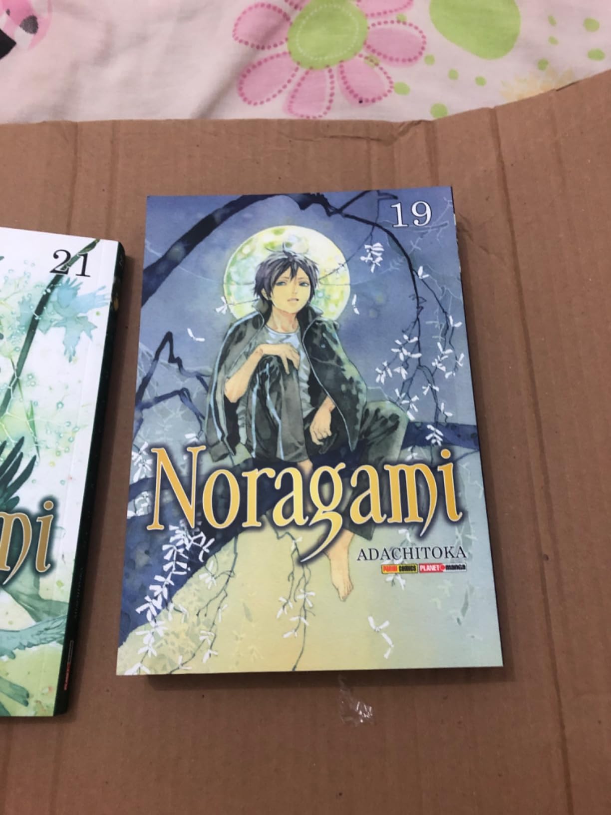 Noragami Vol. 19 | Amazon.com.br