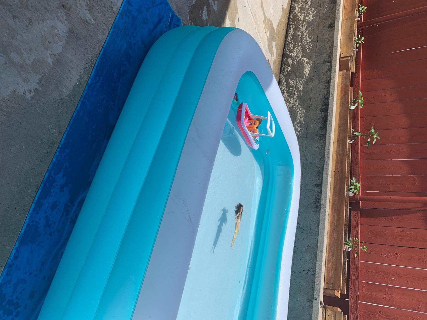 Amazon.com: Barbie Floating Dolphin Magic Boat with Glass Bottom, 3 ...