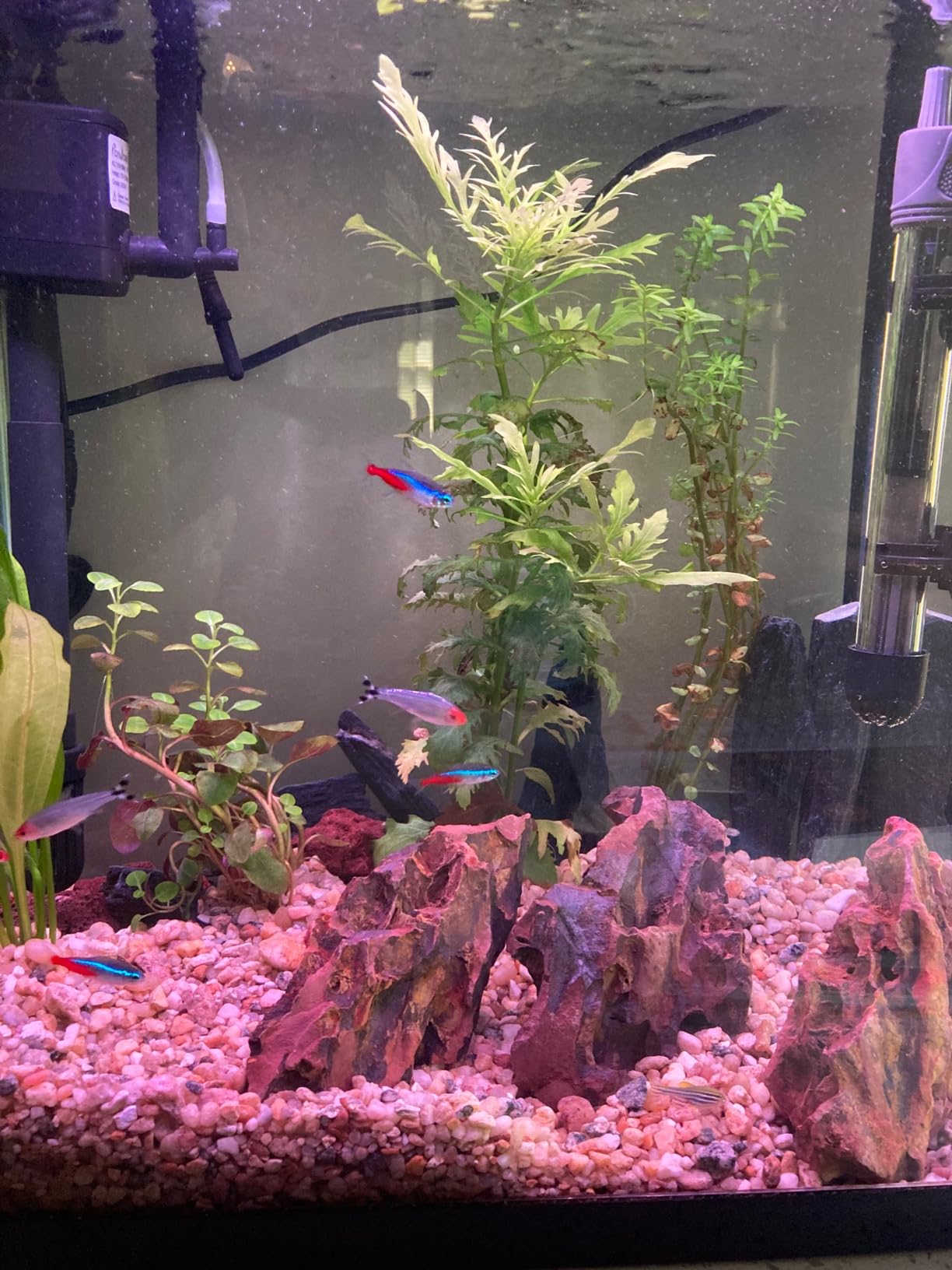 $11/mo - Finance PONDON Fish Tank, 3 Gallon Glass Aquarium, 3 in 1 Fish ...