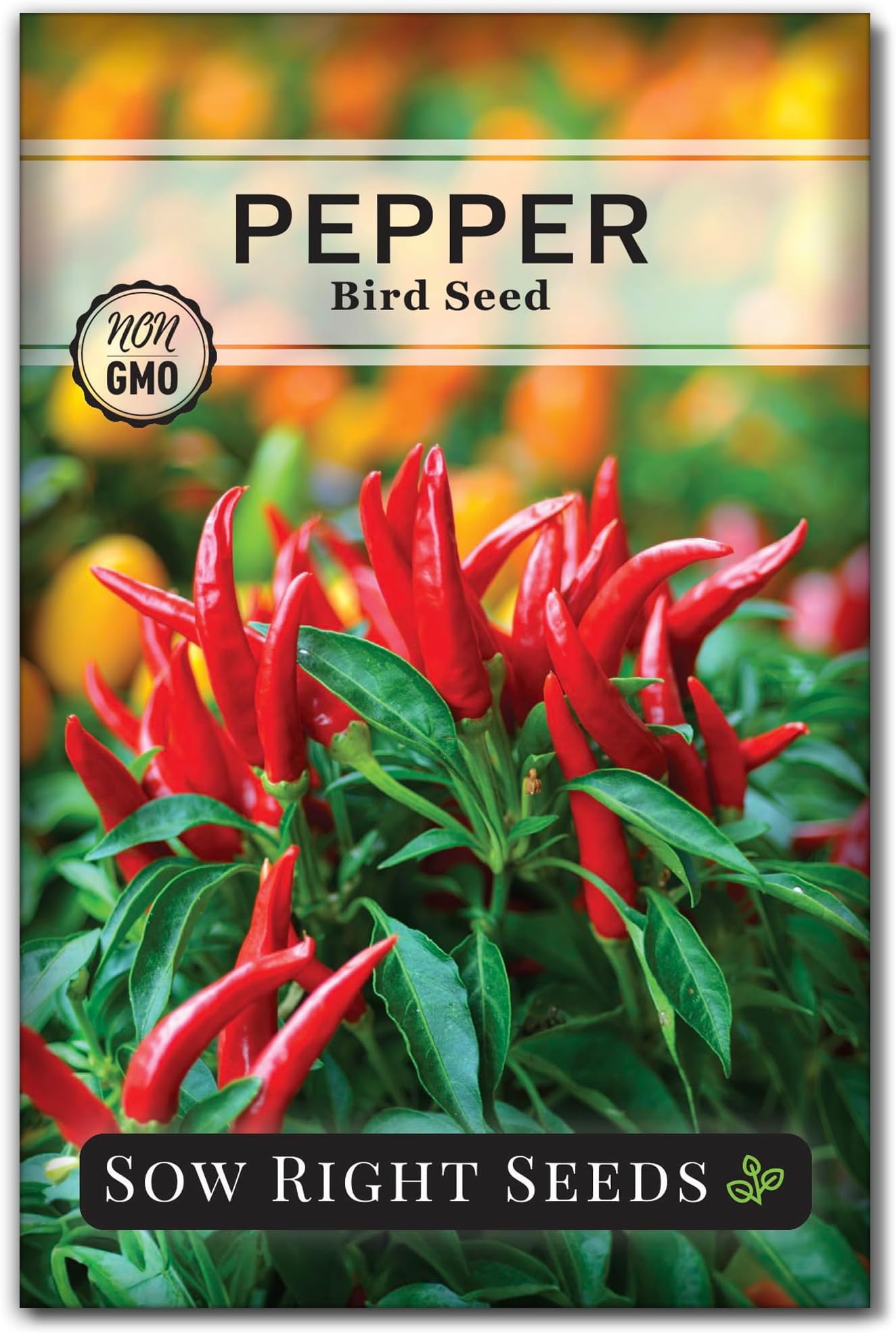 Amazon.com : “Bird's Eye” Thai Hot Pepper Seeds – Traditional Thai Bird ...