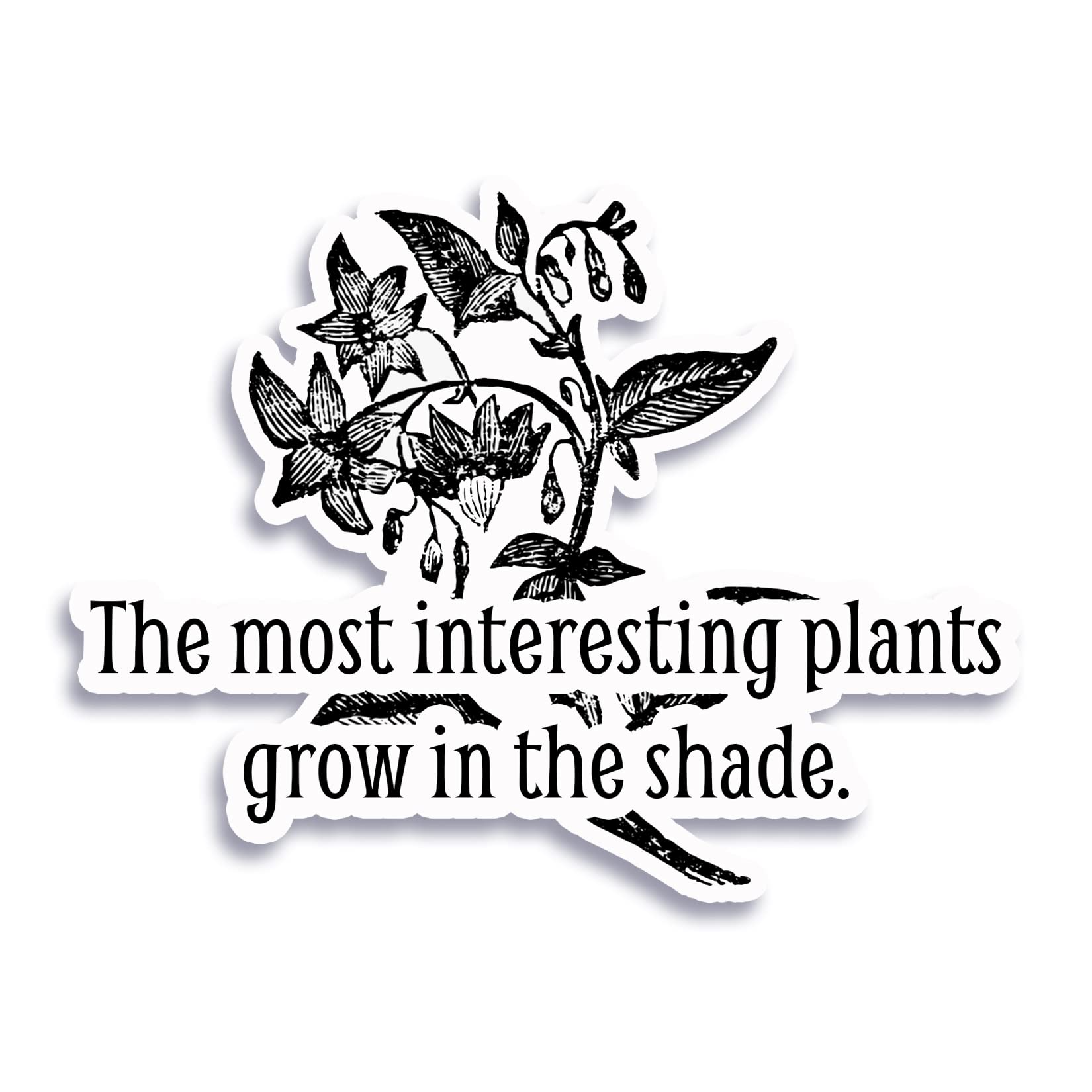 Amazon.com - Wednesday Addams The Most Interesting Plants Grow in The ...