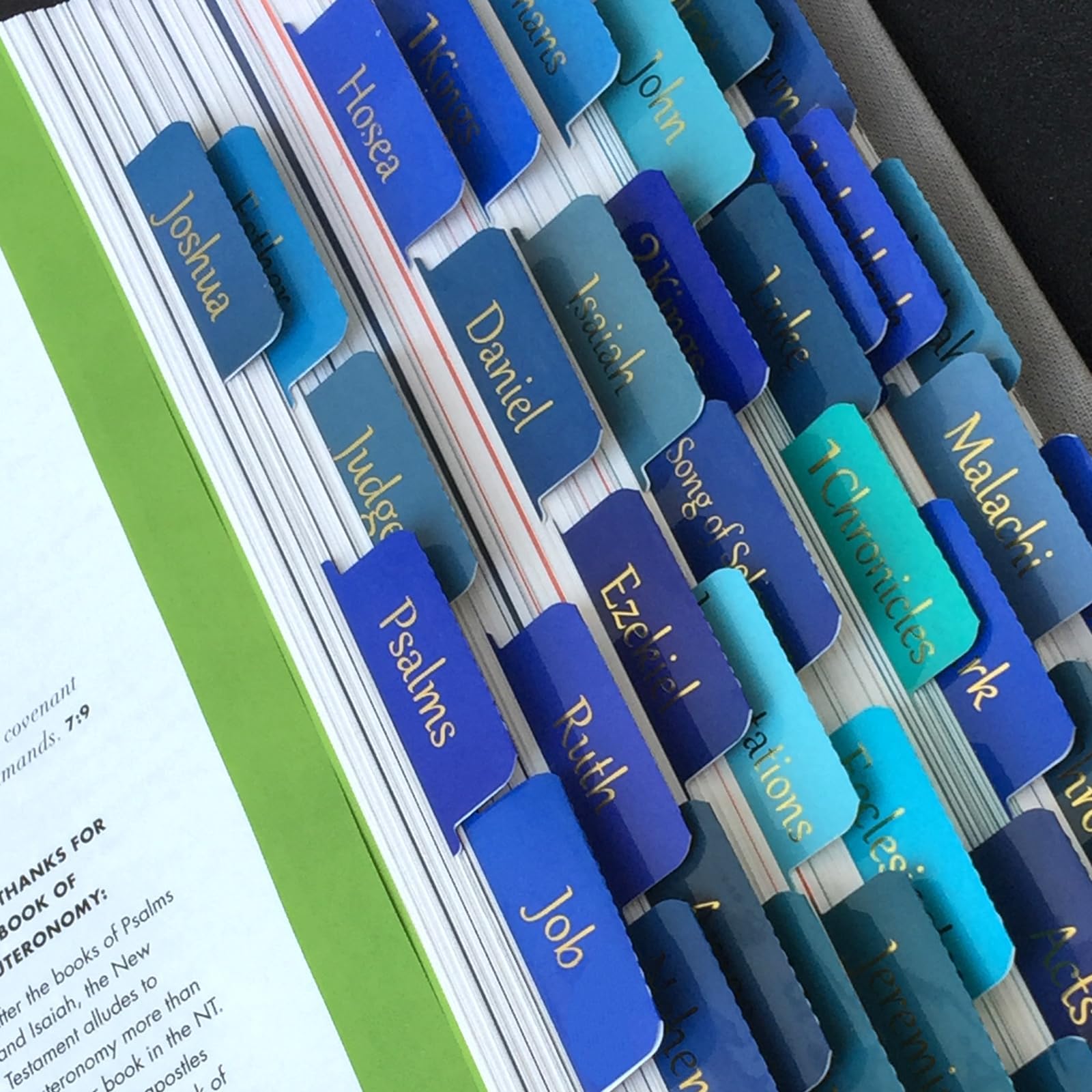 Amazon.com : Bible Tabs Manly Blue - Soul Nourishing Book Summaries ...