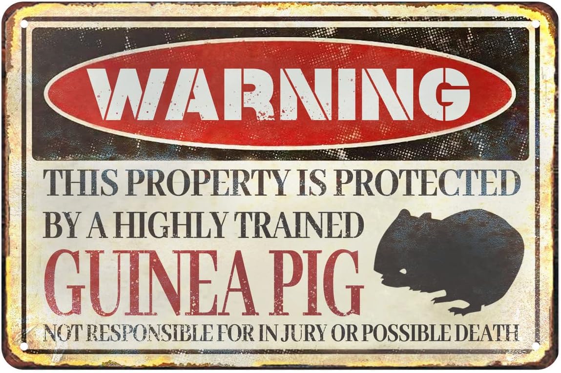 Amazon.com: Aowotu Beware Of Guinea Pig Warning Sign - 8x12 Inches, Tin ...