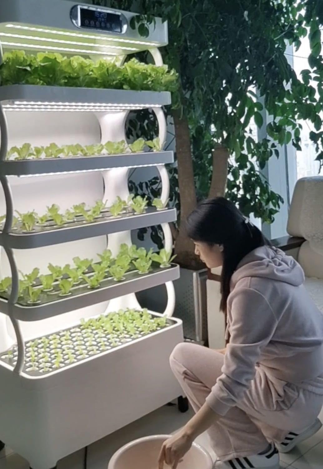 Amazon.com: Indoor Hydroponic System, Grow 85 Types of Vegetables ...