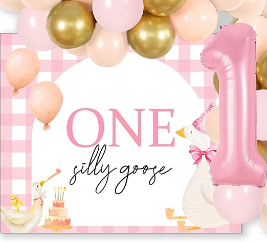 Amazon.com: One Silly Goose Birthday Decor One Silly Goose Birthday ...