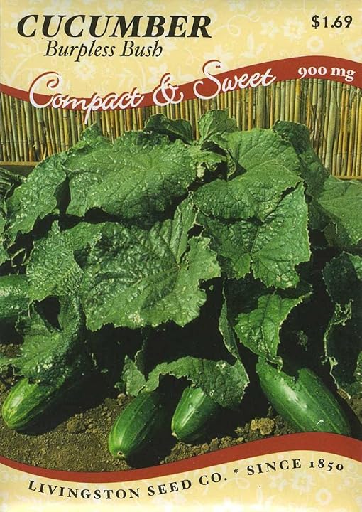 The 9 Best Bush Cucumber Varieties in 2024 - Backyard Gardeners Network