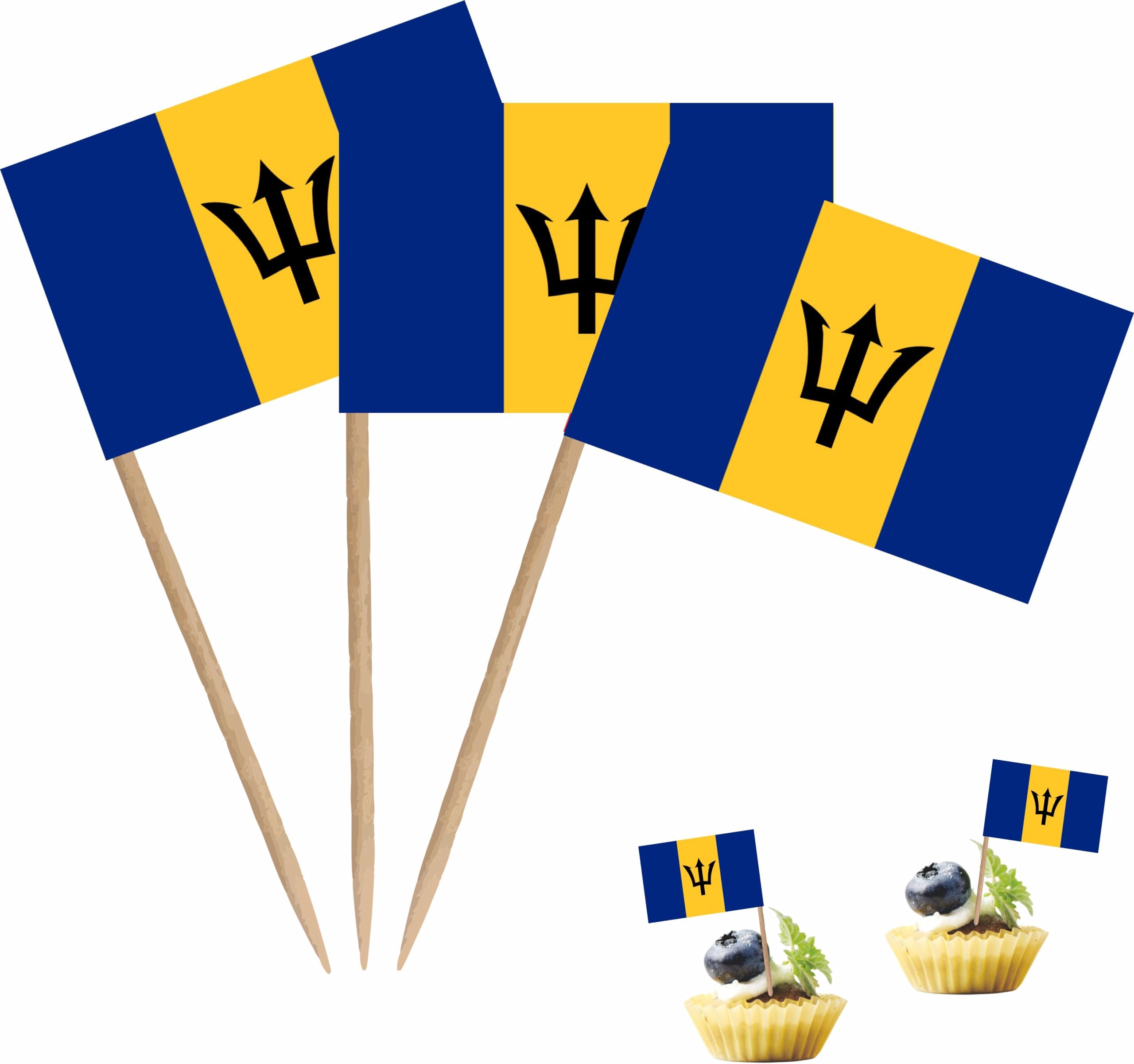 Amazon.com : 2 Boxes of Assorted State Toothpick Flags, 200 Small Mini ...