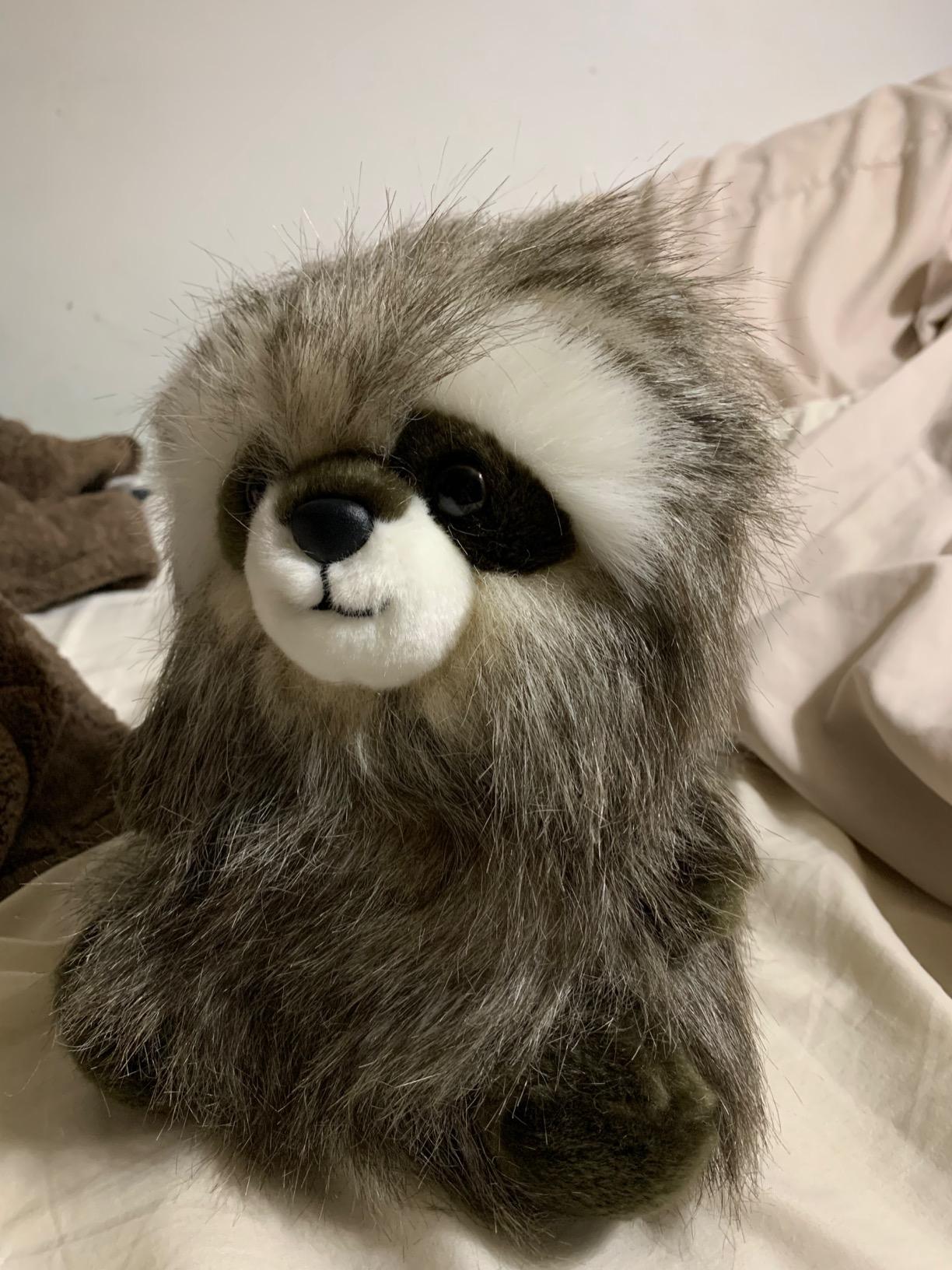 Amazon.com: Aurora - Luxe Boutique - 9" Mika Raccoon,Grey : Toys & Games
