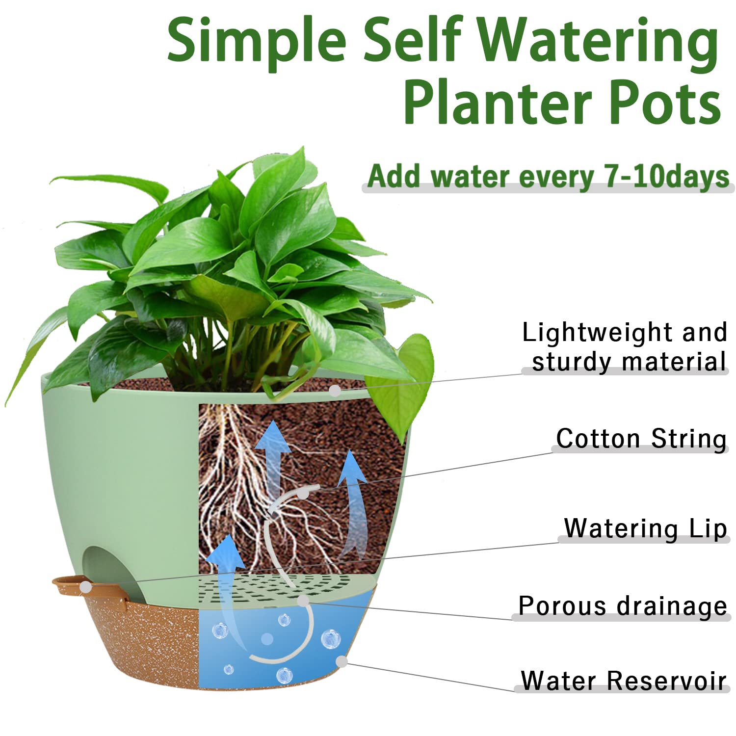 How Self Watering Planters Work