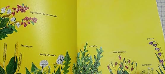 A Menina que Amava as Plantas | Amazon.com.br