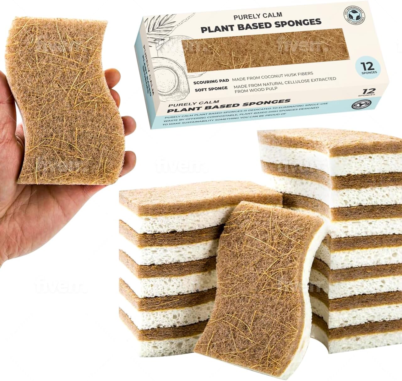 Amazon.com: Purely Calm Plant Based Natural Sponge - Pack of 12 ...