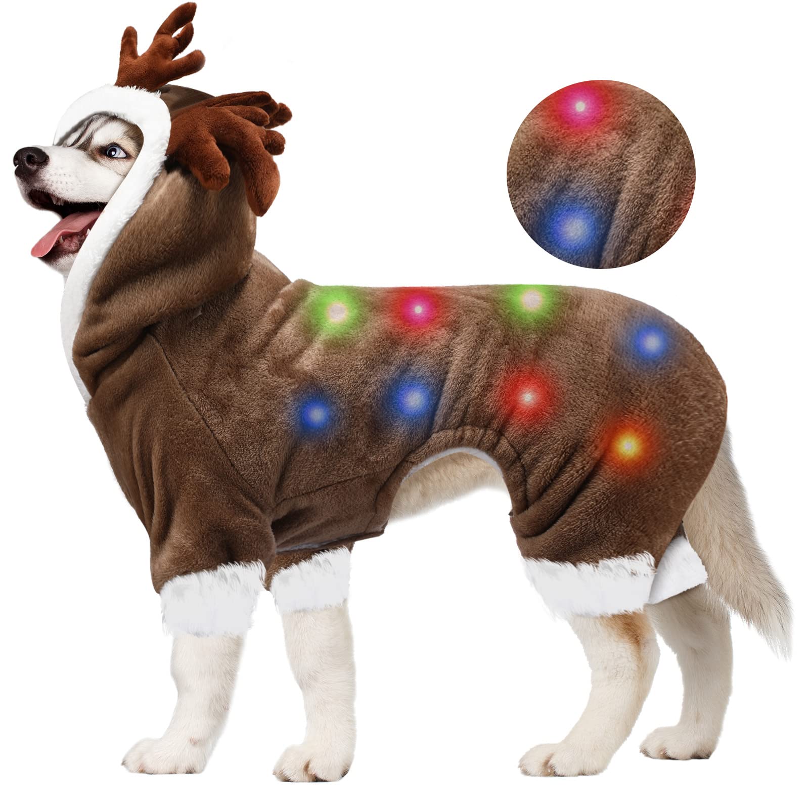 Do Led Lights Affect Dogs