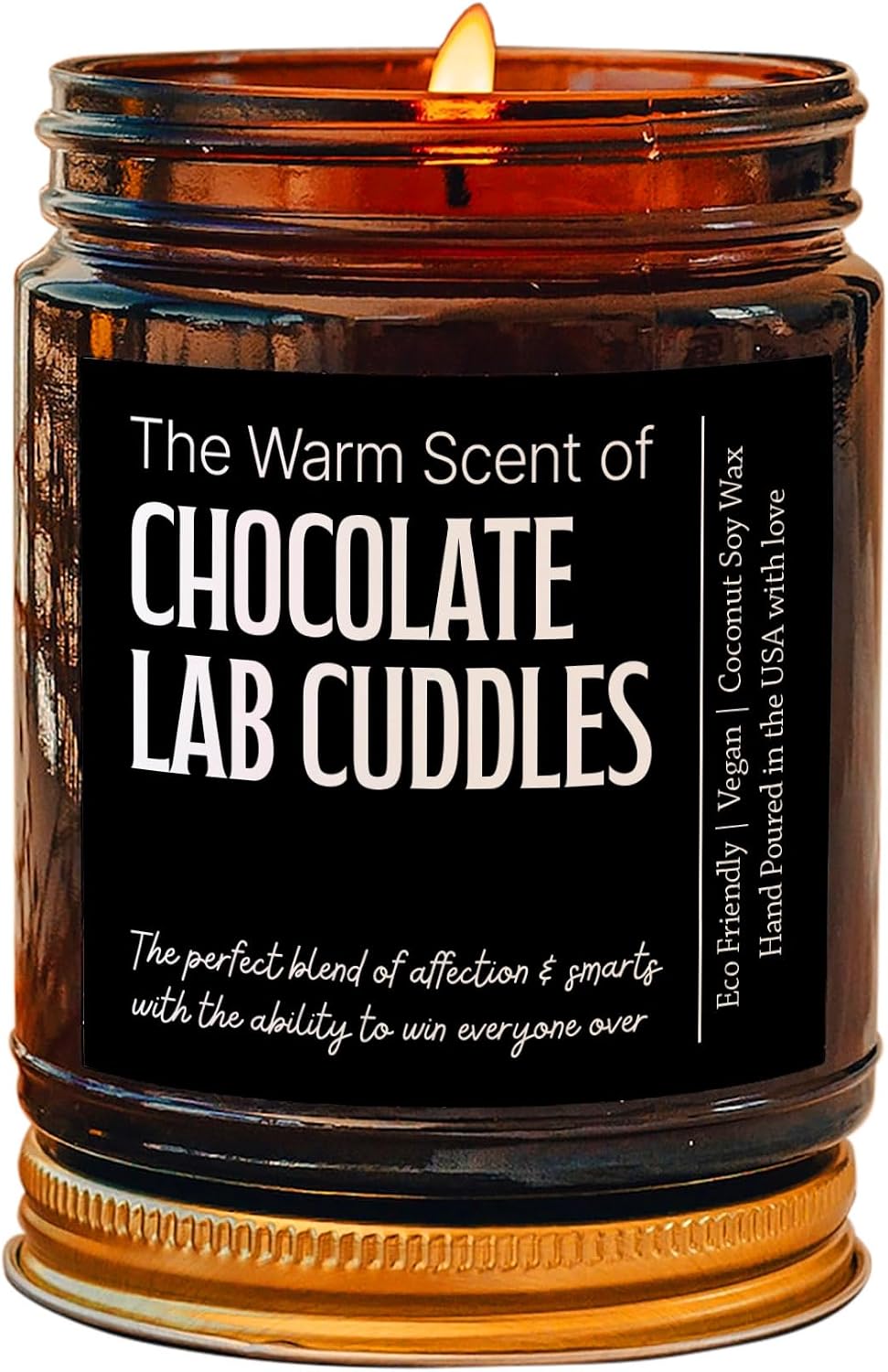 Amazon.com: Chocolate Lab Gift, Chocolate Lab Lover, Labrador Retriever ...
