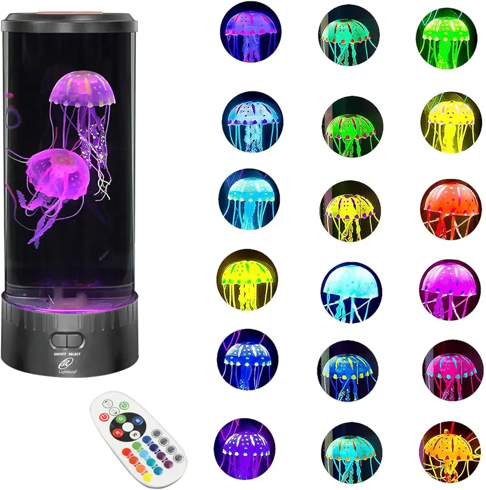 The Ultimate Guide To Setting Up A Jellyfish Tank At Home | PetShun