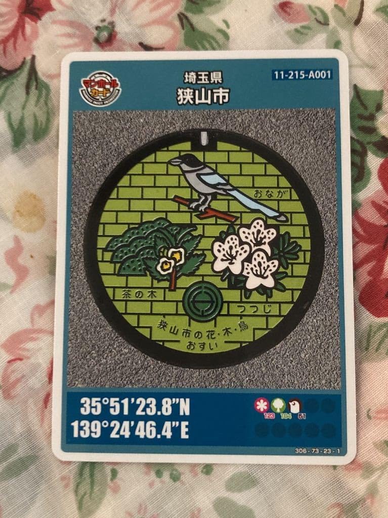 Amazon.com: Manhole Card Saitama Prefecture Sayama Prefecture Lot 007 ...