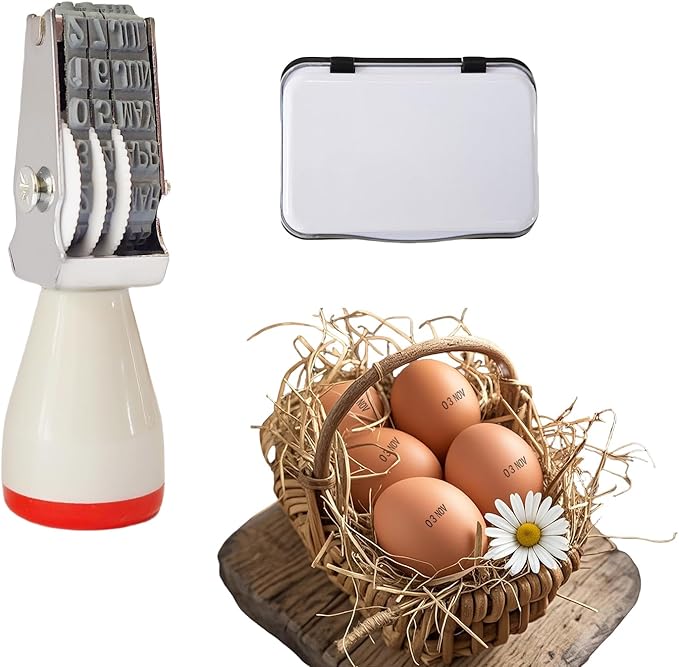 Amazon.com: Aunewrick Egg Date Stamp Kit with Ink Pad, Month and Day ...