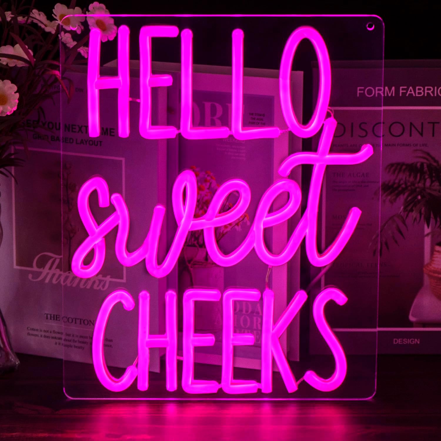 Hello Sweet Cheeks Neon Sign Funny Hello Sweet Cheeks Bathroom Decor ...