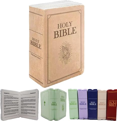 Amazon.com: Cowenhey Bible Pillow Book Plush That Opens, Christian Holy ...