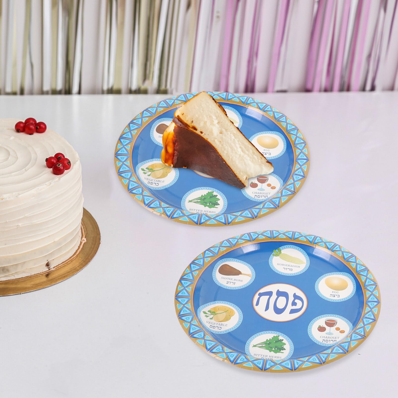 Passover Plates 12-Pack Passover Seder Plates (10") - Disposable ...