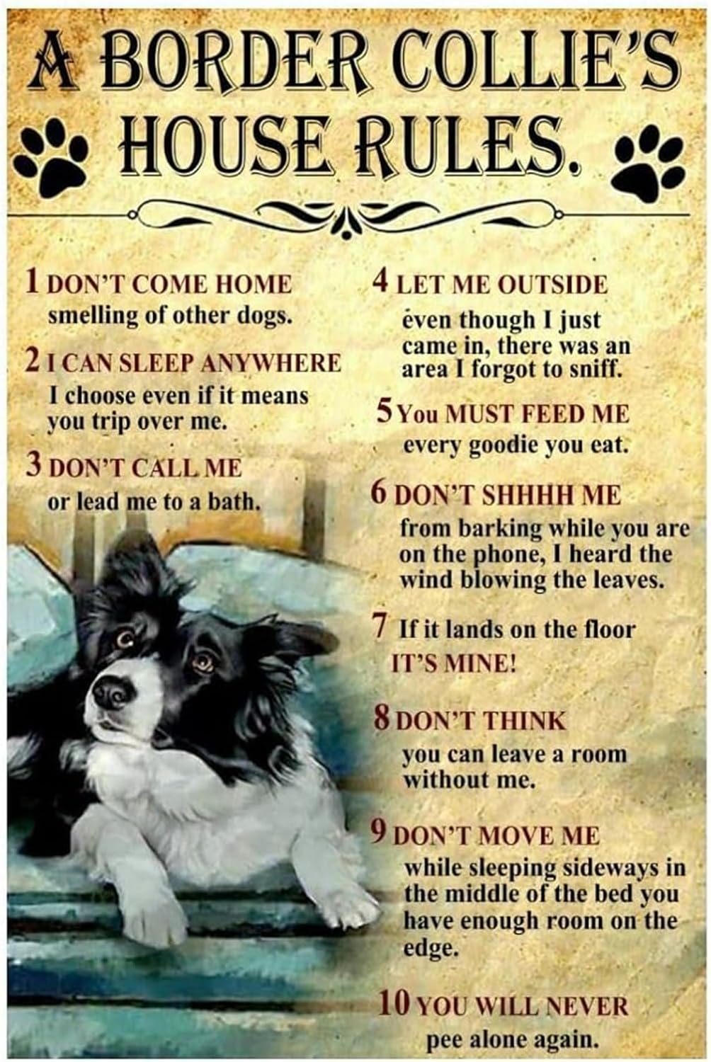 Amazon.com: Geuuki Metal Sign - Border Collie's House Rules Vintage ...
