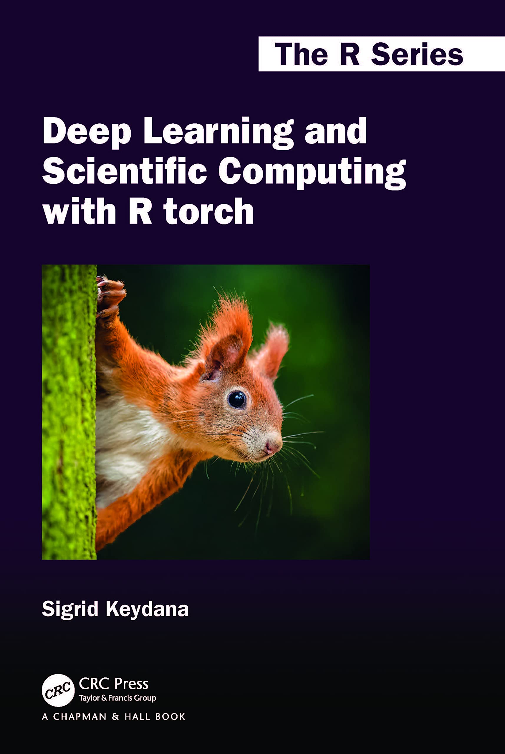 Deep Learning and Scientific Computing with R torch (Chapman & Hall/CRC The R Series): Amazon.co ...