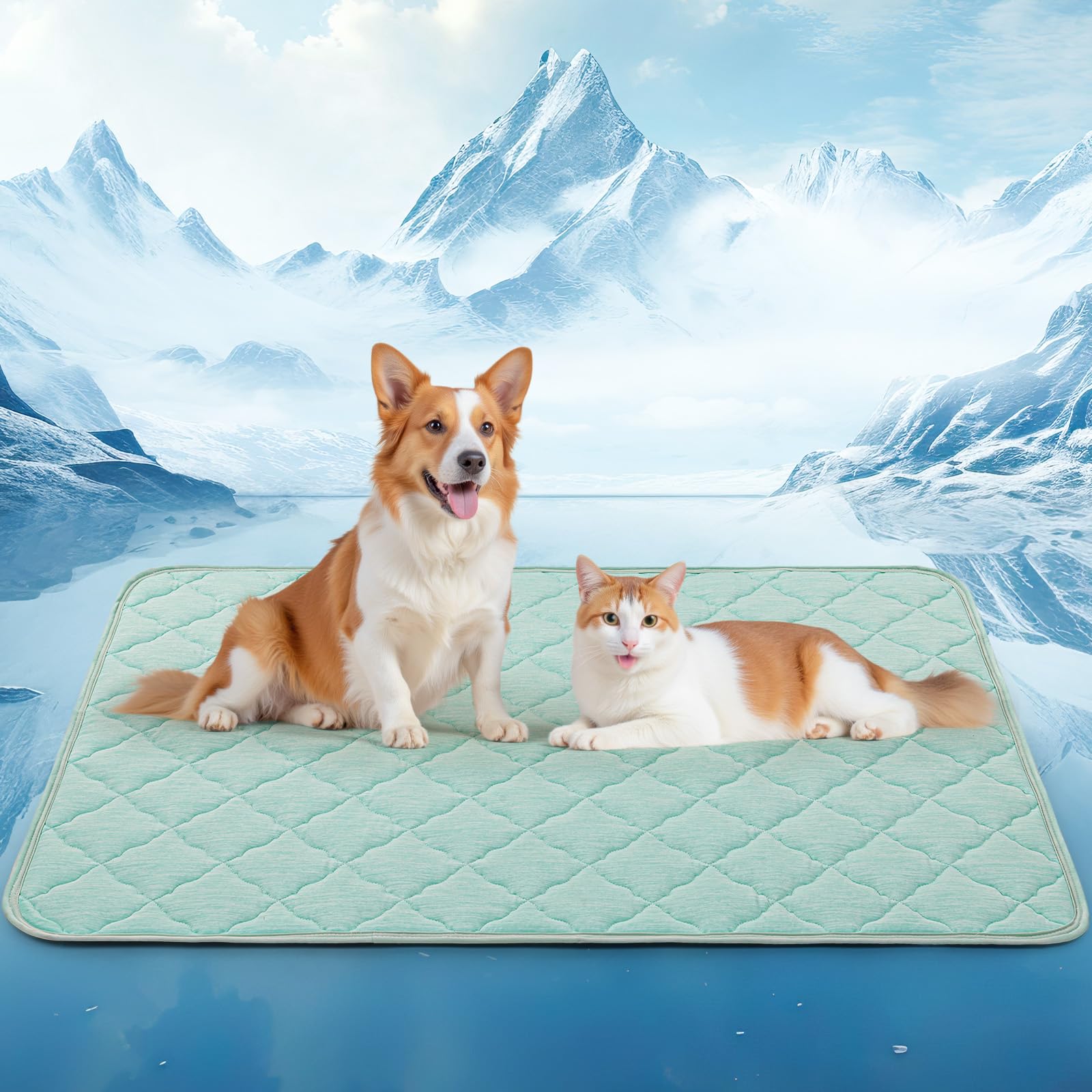 7 Best Dog Cooling Mat | Stop Picking the Wrong Pad