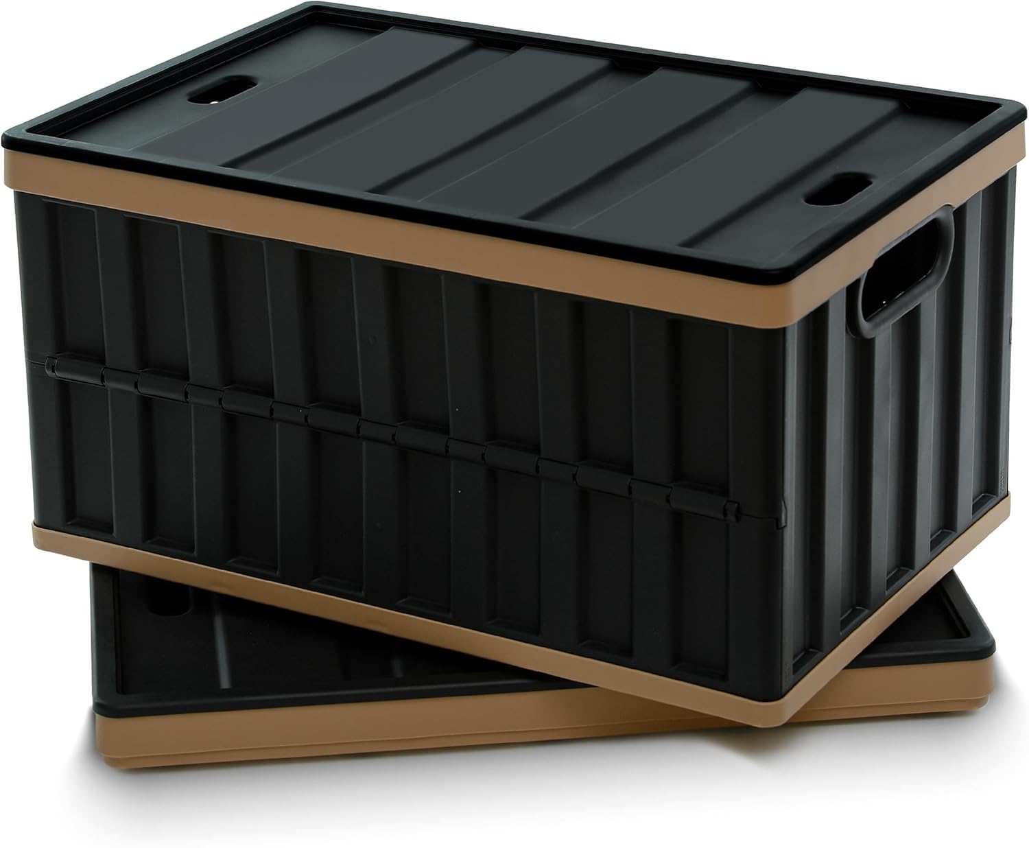 Citylife 2 Packs 64L Collapsible Plastic Large Storage Box with Lids ...