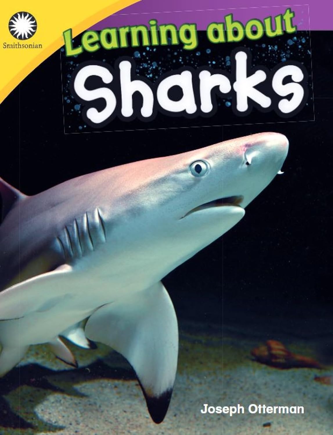 Amazon.com: Learning about Sharks (Smithsonian: Informational Text ...