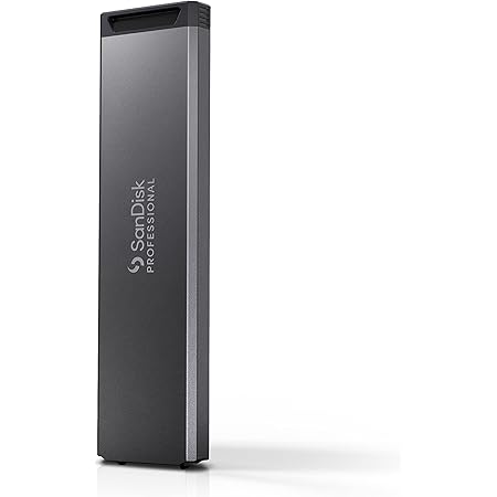 Amazon.com: SanDisk Professional 4TB PRO-Blade SSD Mag - Portable ...