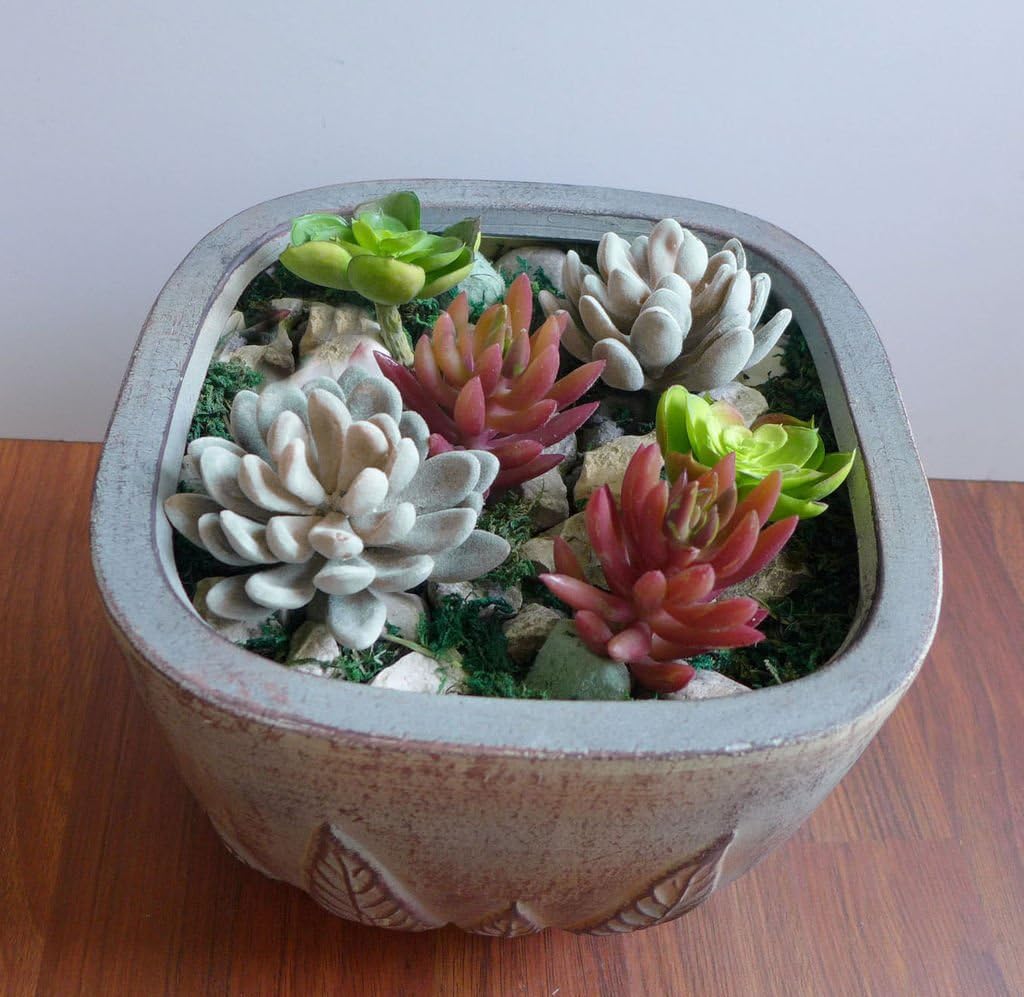 Amazon.com: CHSGJY Set of 6 Artificial Desert unkillable Succulents ...