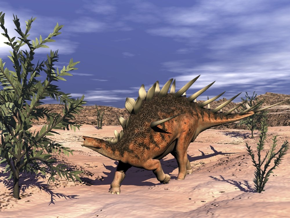 Kentrosaurus Size