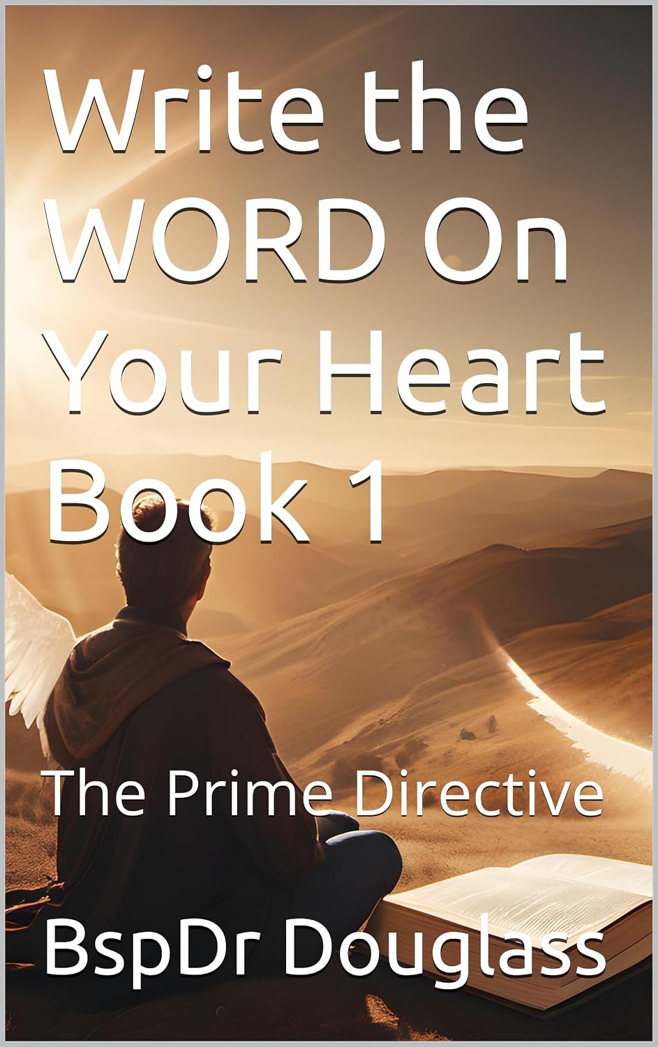 Write the WORD On Your Heart Book 1: The Prime Directive (Pillars of ...