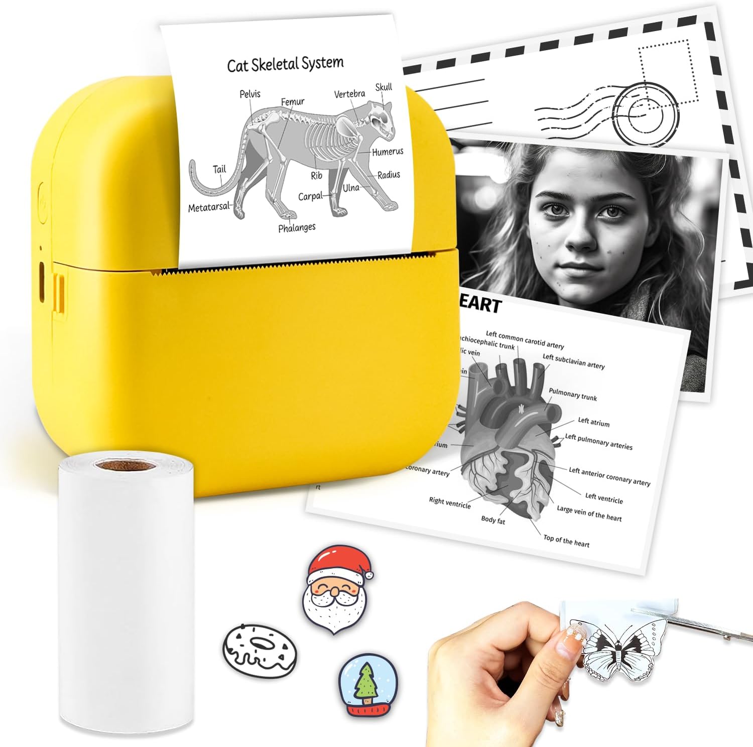 Amazon.com: HOTCOLOR Sticker Printer,Mini Printer Portable Thermal ...