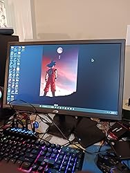 Amazon.com: STGAubron 24 Inch Gaming Computer Monitor, FHD 1920 x 1080P ...