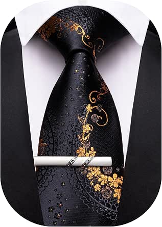 Barry.Wang Black Gold Ties for Men Floral Tie Necktie and Tie Clip ...