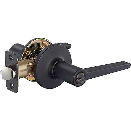 SCHLAGE FE595 CAM 619 ACC Camelot Keypad Entry with Flex-Lock and ...