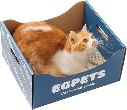 Amazon.com : Cardboard Cat Scratcher Box with Extra-Large Double-Sided ...