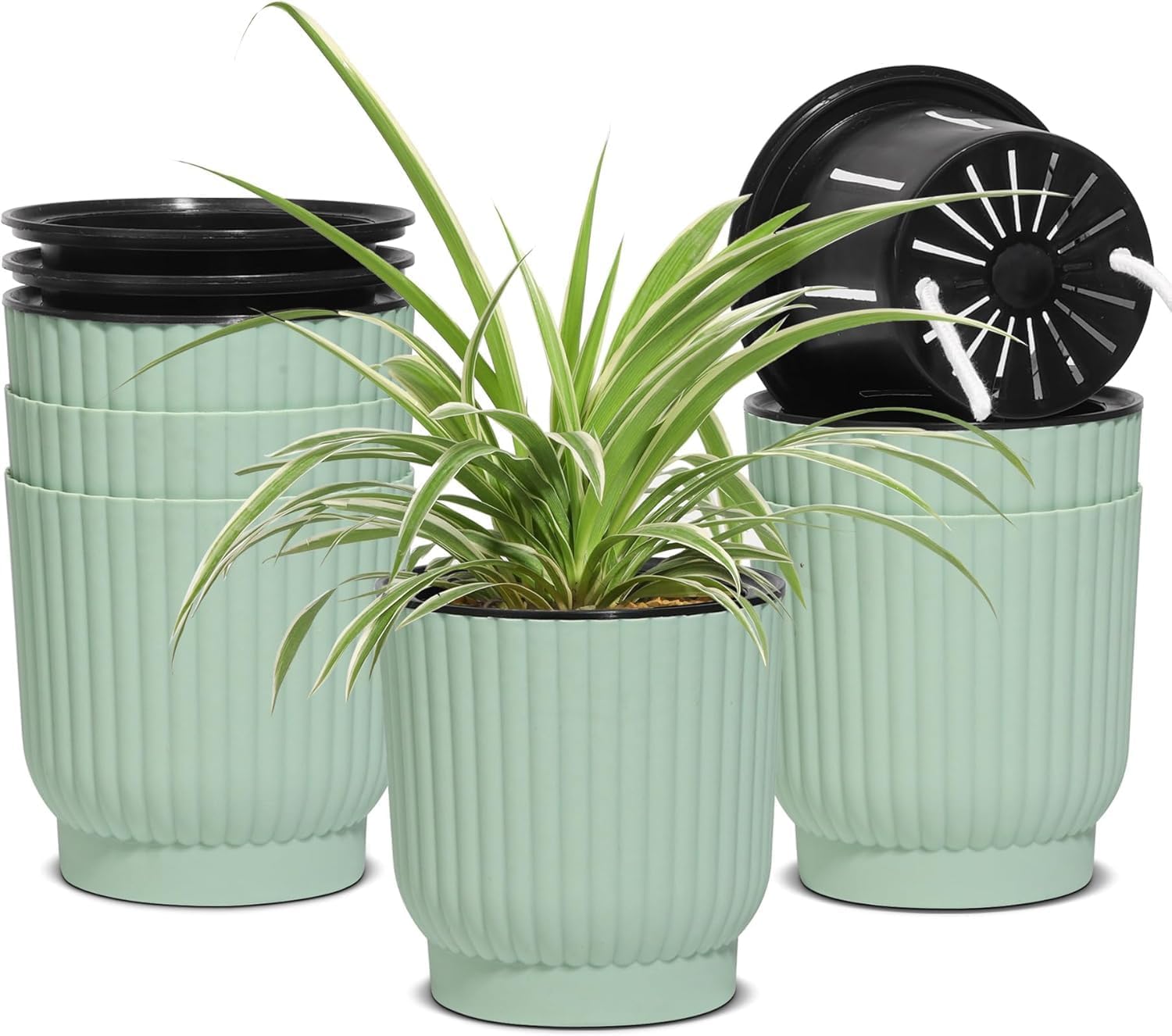 Amazon.com: T4U 4.5 Inch Plant Pots Self Watering, 6 Pack African ...