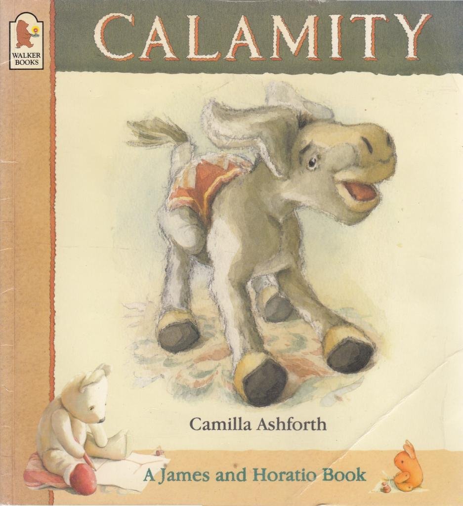 Calamity: Camilla Ashforth: 9780744543933: Amazon.com: Books
