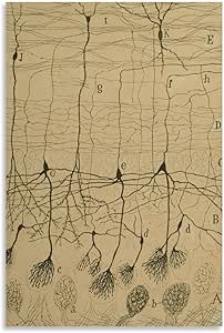 Amazon.com: Santiago Ramón Y Cajal - Neuron Painting,Digital Neuron ...